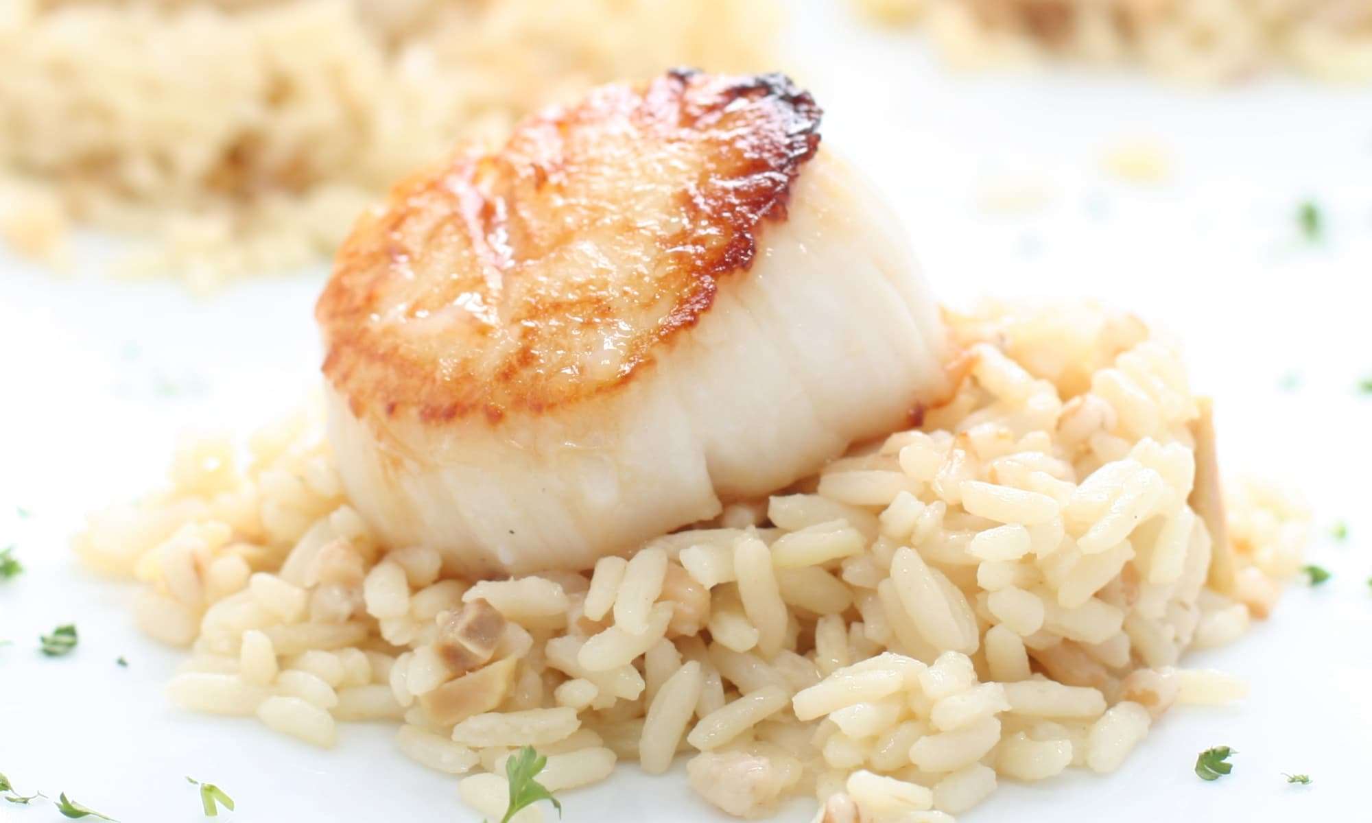 Nos adresses restaurants à Bari | Transavia