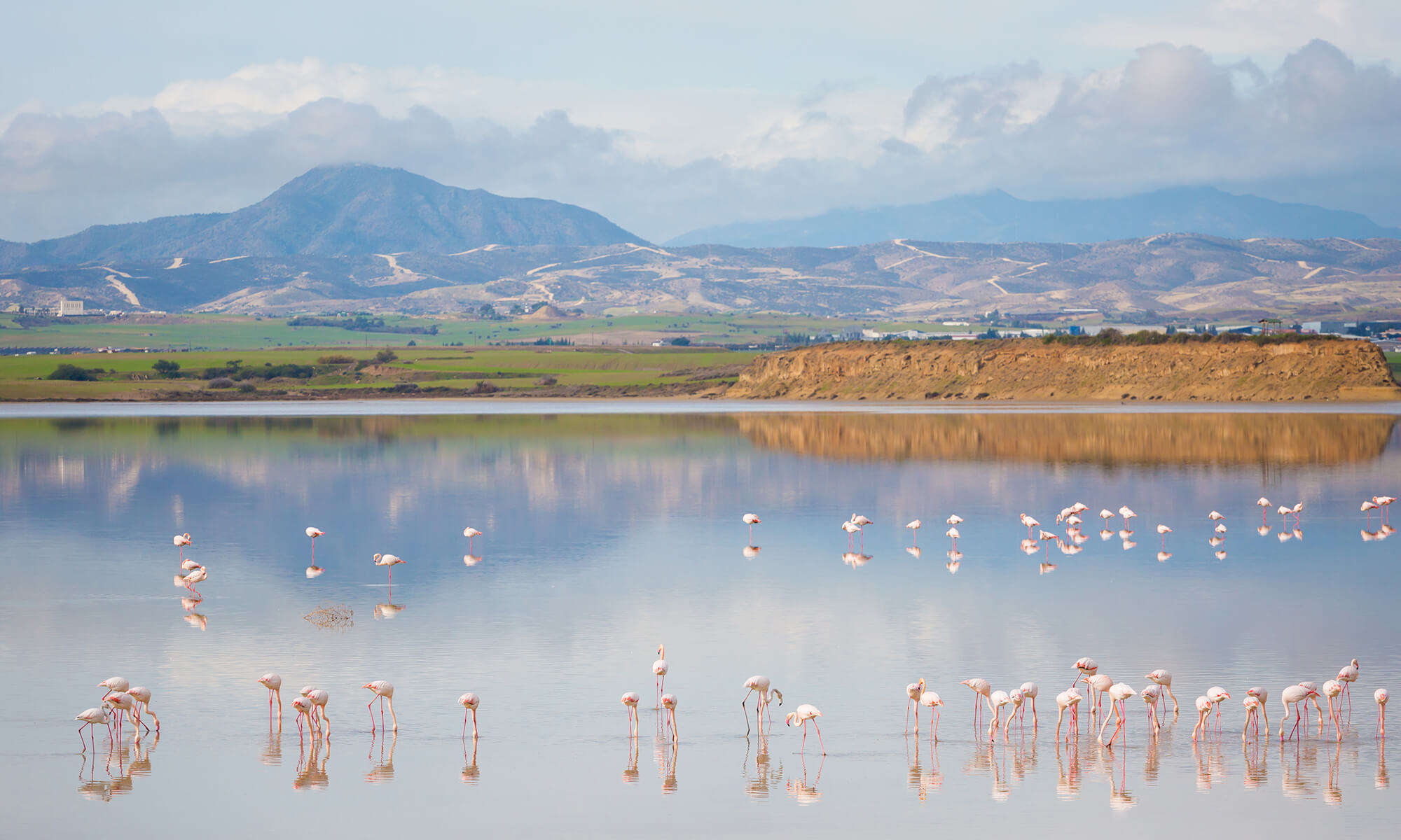 Affordable flights to winter sun destinations! | Transavia